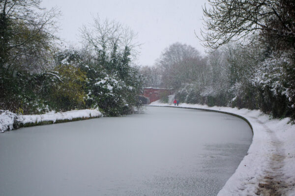 Does Cat Litter Melt Ice? Debunking Myths And Offering Alternatives